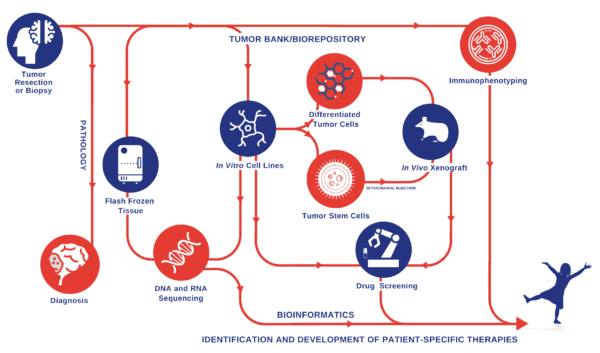 PRECISION MEDICINE – Children's Brain Tumor Project